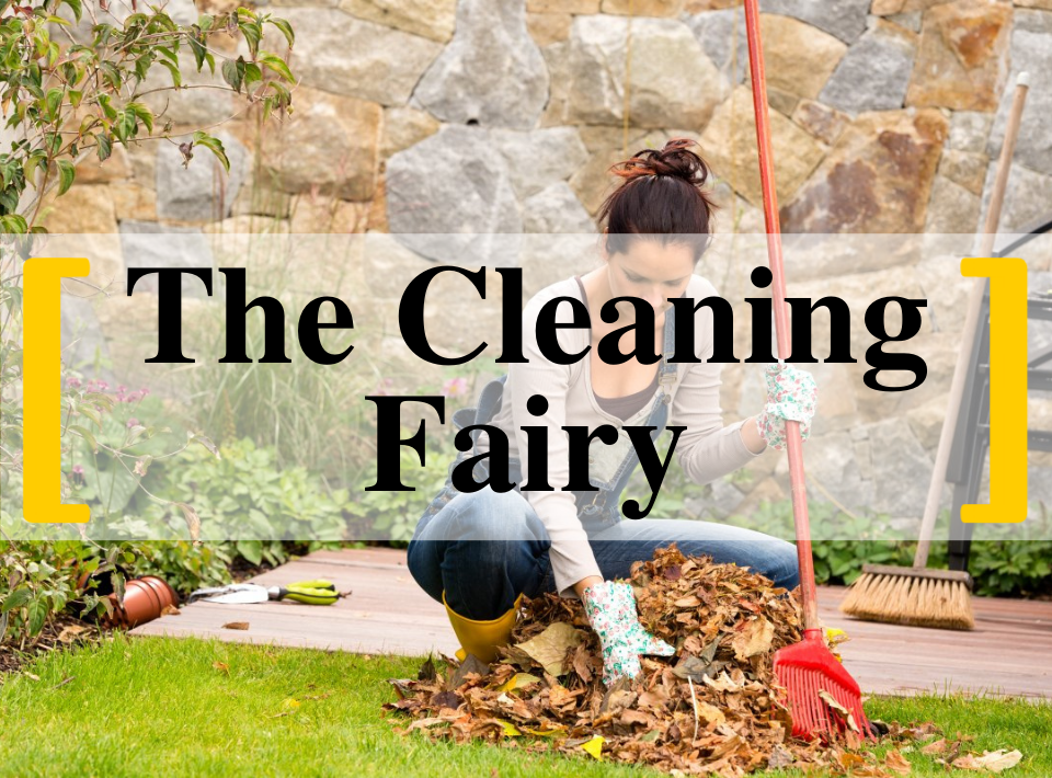The Cleaning Fairy | Streetwise Publications Ltd.